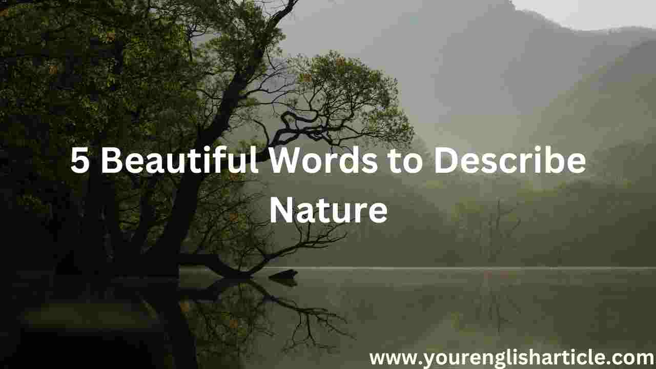 5 Beautiful Words to Describe Nature | English By Zahid Sir ...