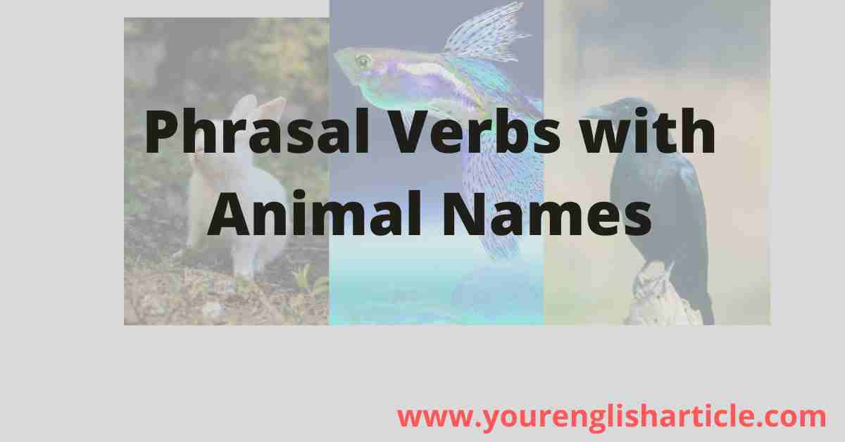 10+ Phrasal Verbs with Animals by Zahid Sir | English by Zahid sir ...